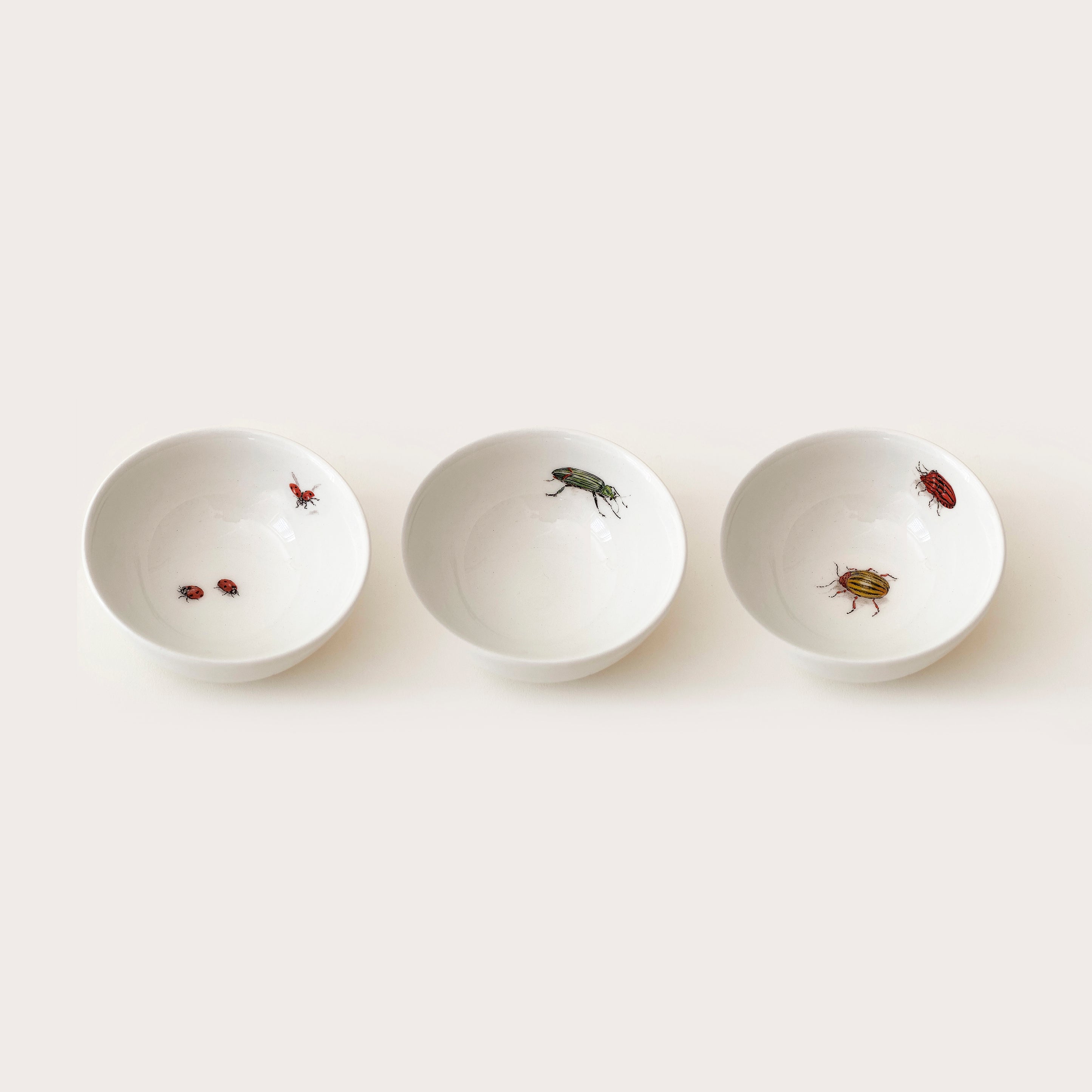 Tiny Bowl, Bug Trompe L'oeil – Gohar World